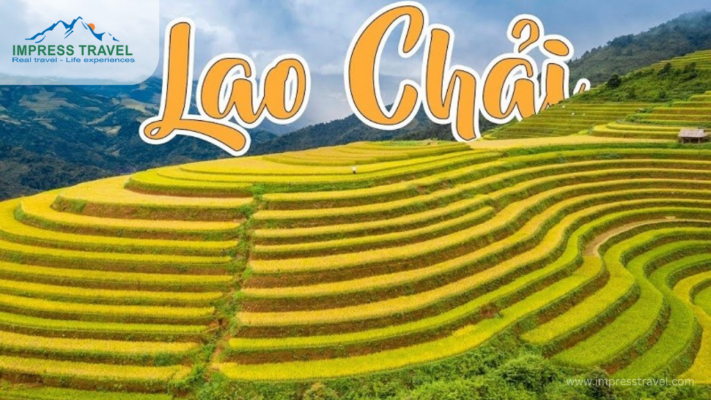 Lao Chai Village: Mu Cang Chai Tours & Attractions - Impress Travel