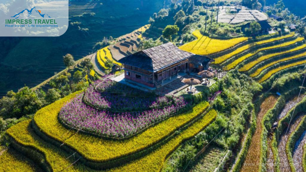 Where To Stay For Mu Cang Chai Tours Homestay Hotels