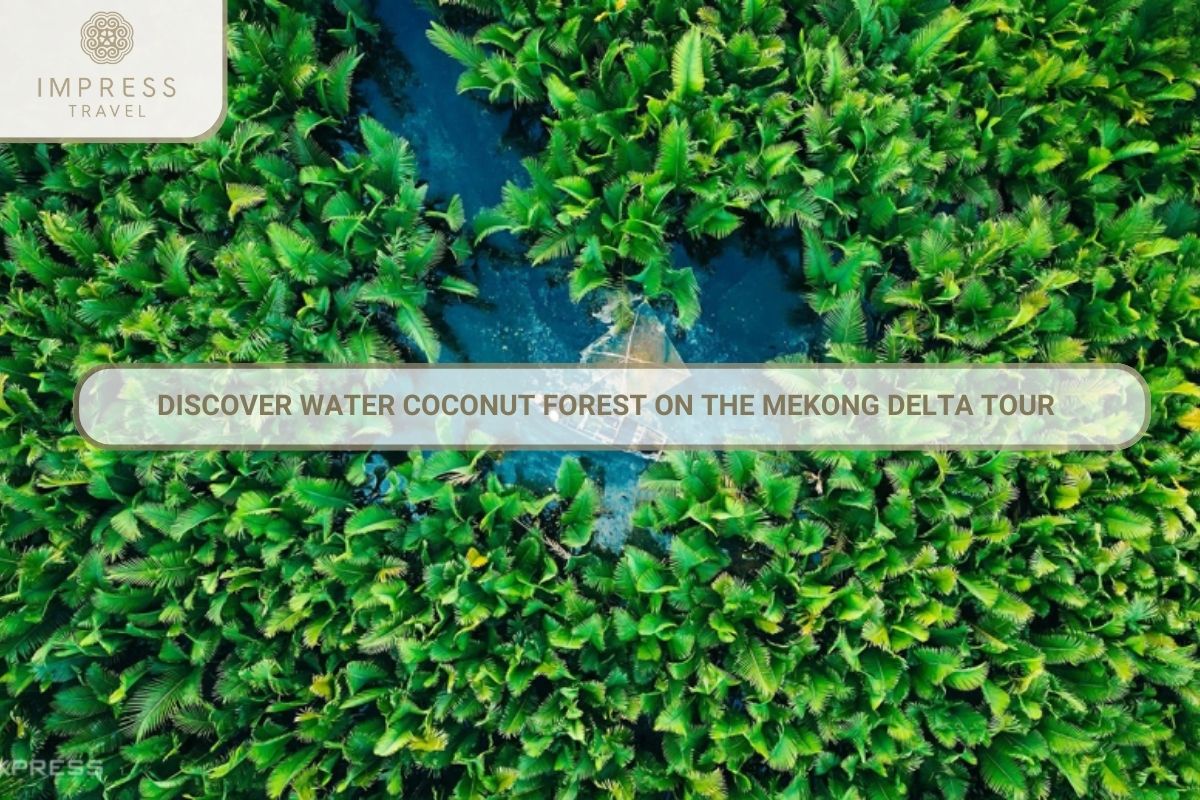 Flourished Mekong tours to explore Coconut forest