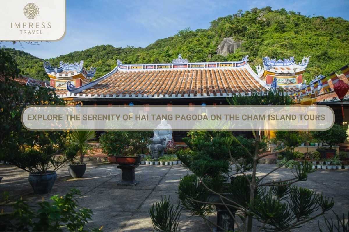 Explore the Serenity of Hai Tang Pagoda on the Cham Island Tours