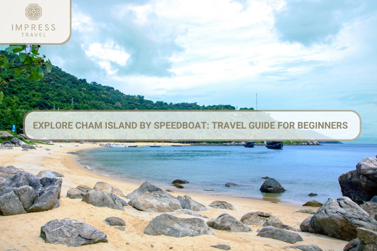Explore Cham Island by Speedboat: Travel Guide for Beginners