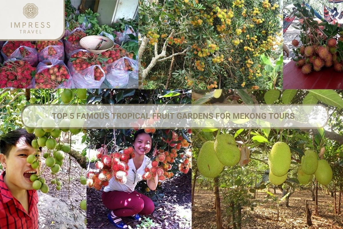 Top 5 famous tropical fruit gardens for Mekong tours