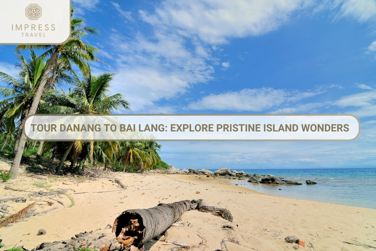 Tour Danang to Bai Lang: Explore Pristine Island Wonders