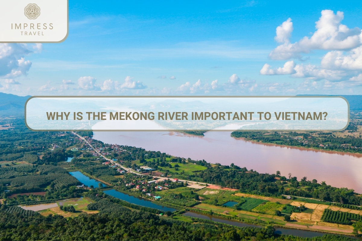 Why Mekong tours is Important for exploring in Vietnam?