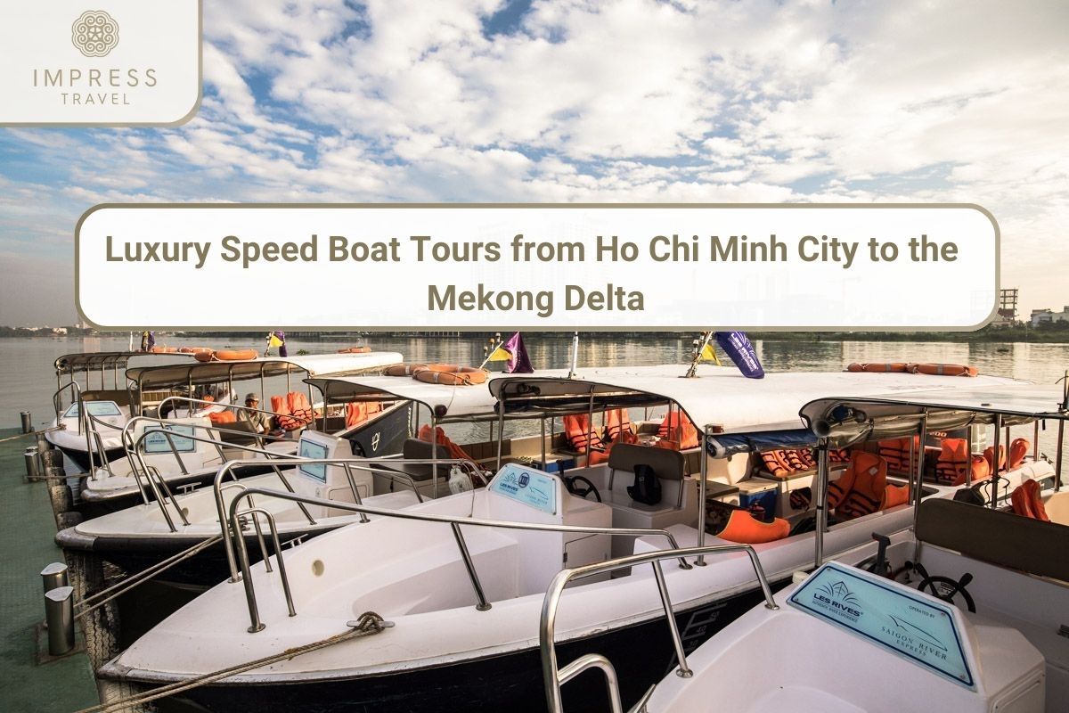 Full, 2 day Mekong tours from HCM by luxury speed boat