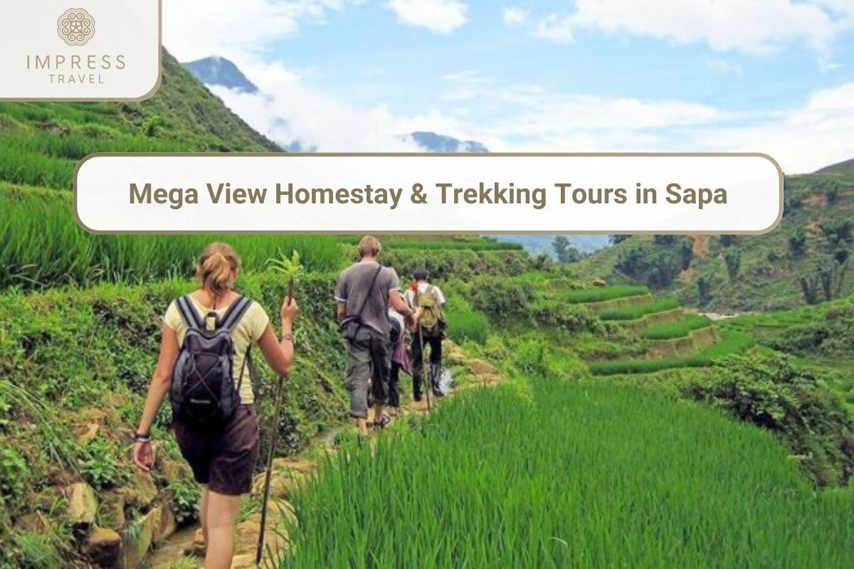 Trekking Sapa Tours stay at Mega View Homestay