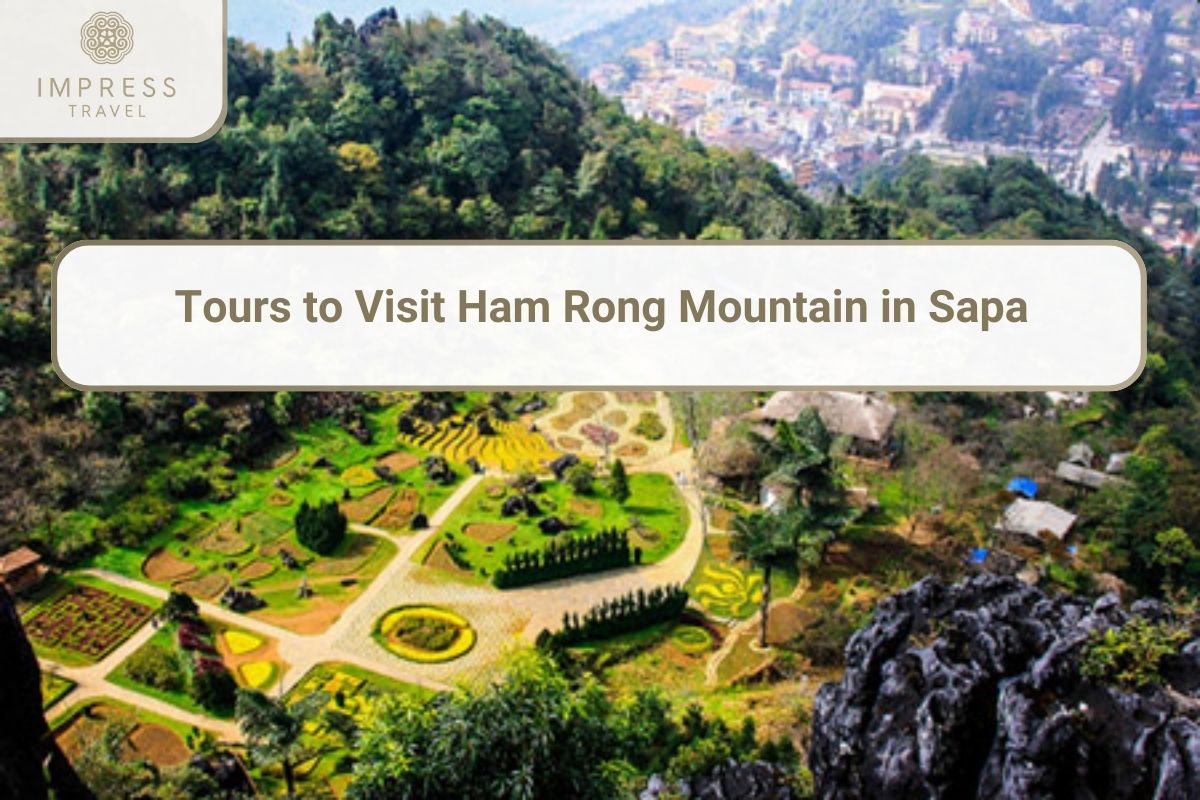 Tours to Visit Ham Rong Mountain in Sapa