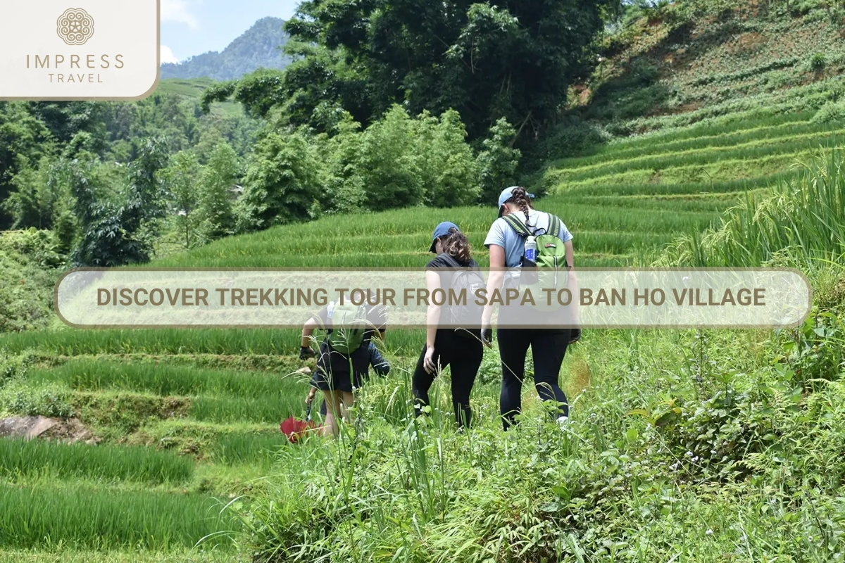 Trekking Sapa tours discover Ban Ho Village (Tay People)