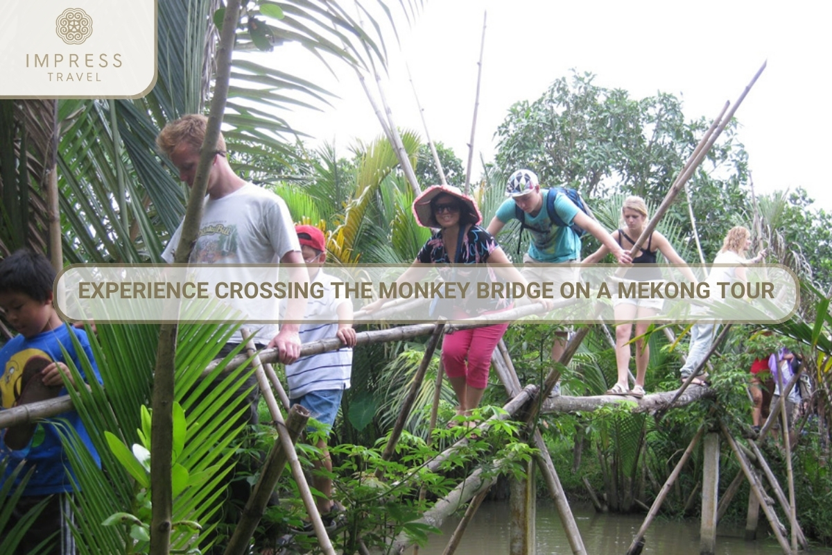 Experience Mekong Tours go cross Monkey Bridge