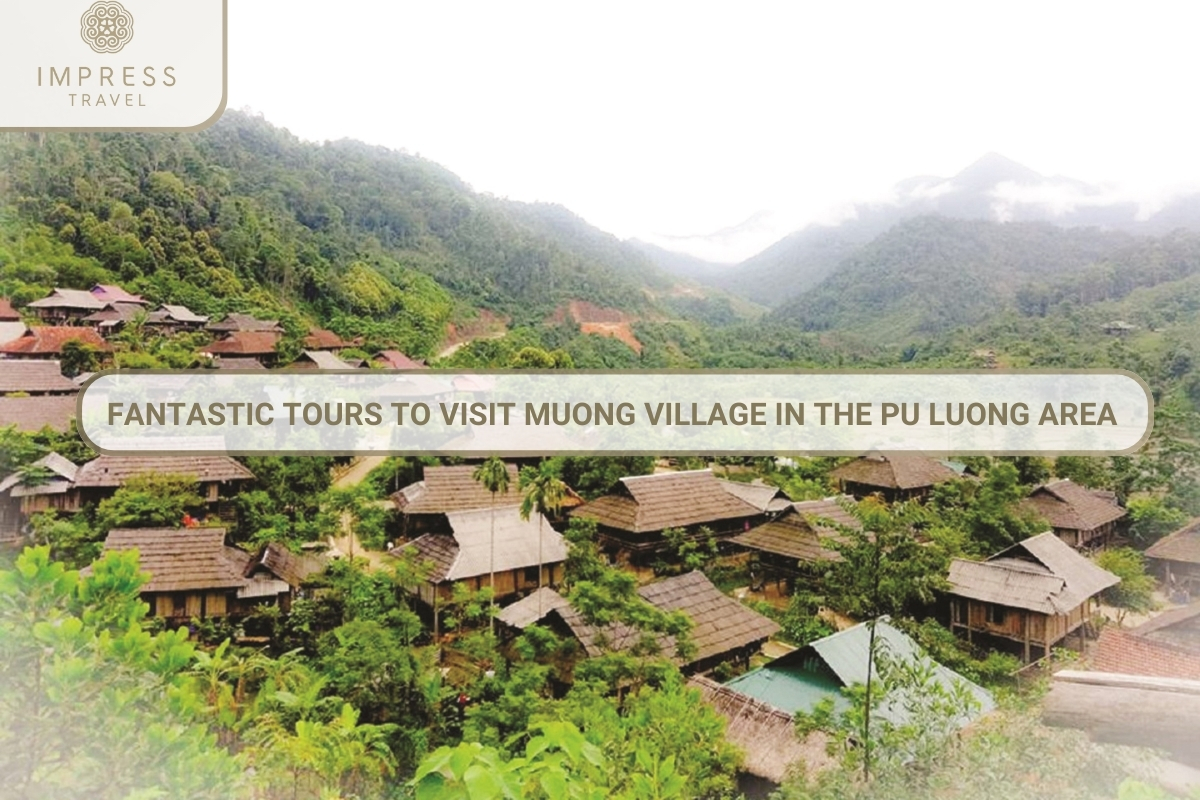 Fantastic Pu Luong Tours visit Muong Village