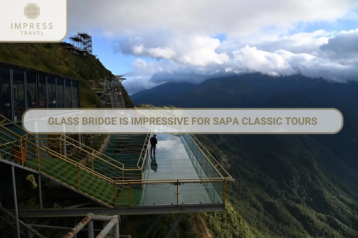 Classic Sapa Tours visit an impressive Glass Bridge