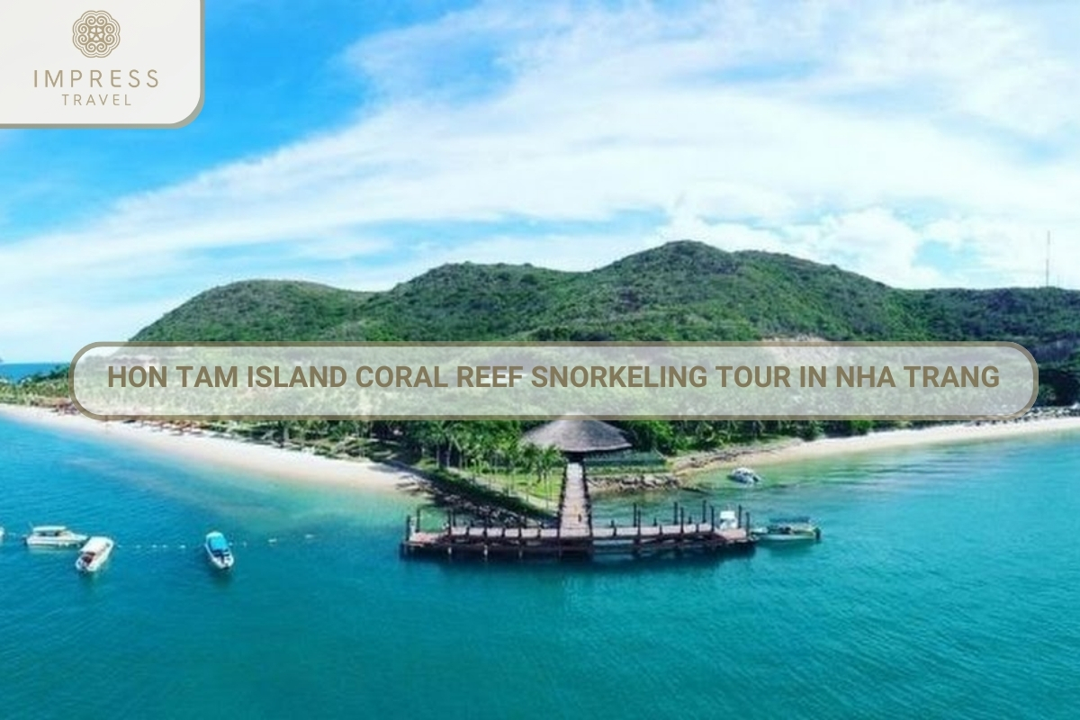 Hon Tam Island Nha Trang Tours snorkel Coral Reef