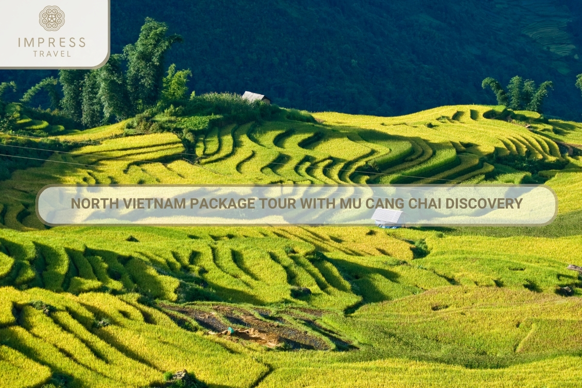 Package Mu Cang Chai tours discover Northern Vietnam