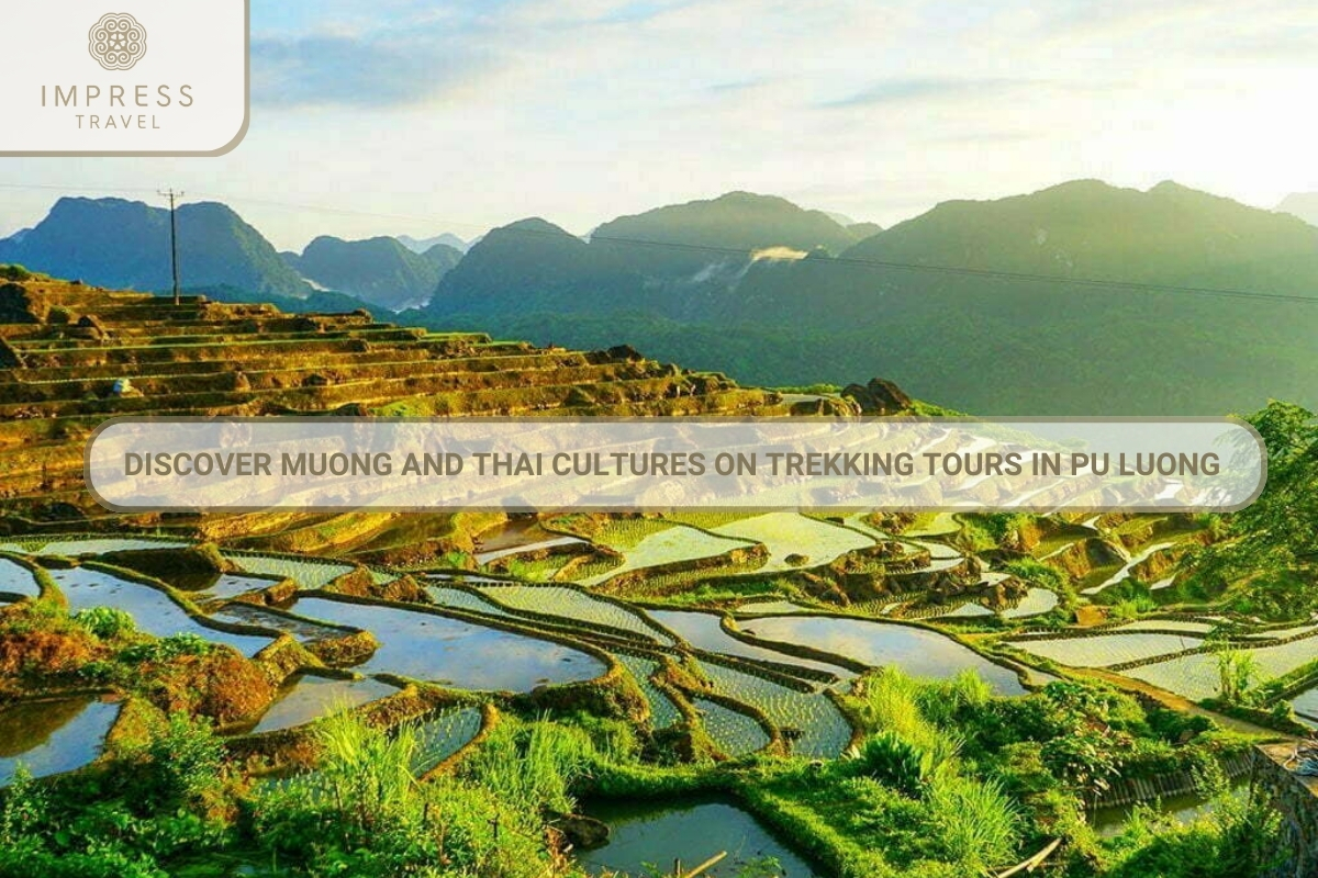 Trekking Pu Luong Tours Discover Muong and Thai Cultures