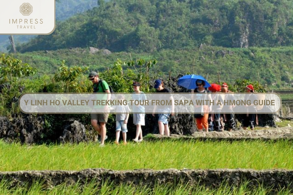 Trekking Sapa Tours guide Y Linh Ho Valley by Hmong Guide
