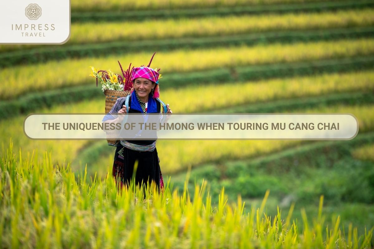 Uniqueness Mu Cang Chai Tours visit the Hmong villages