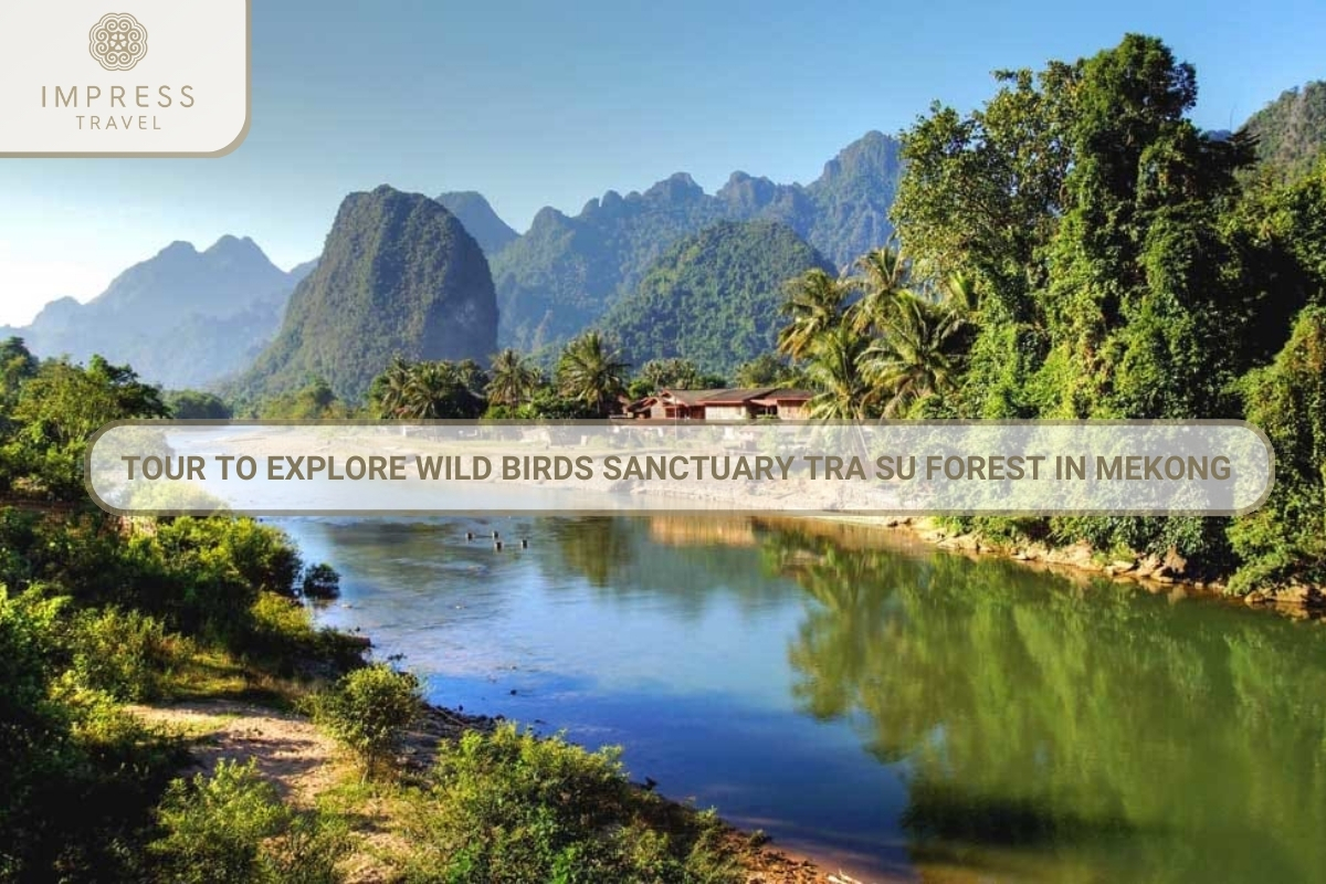 Wild Birds Sanctuary Mekong Tours explore Tra Su Forest