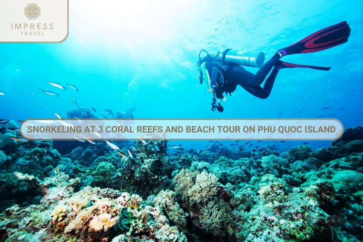 Beach Phu Quoc Island Tours snorkel at 3 Coral Reefs