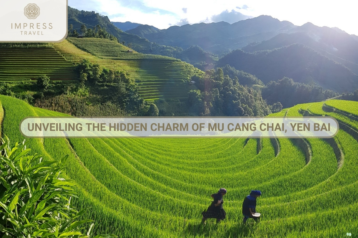 Unveiling the Hidden Charm of Mu Cang Chai Tours
