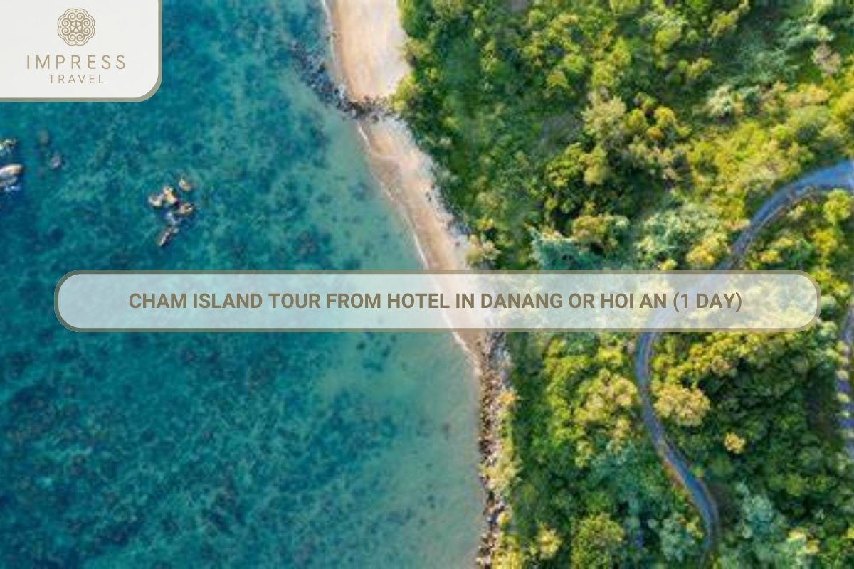 Cham Island Tour From Hotel In Danang Or Hoi An (1 Day)