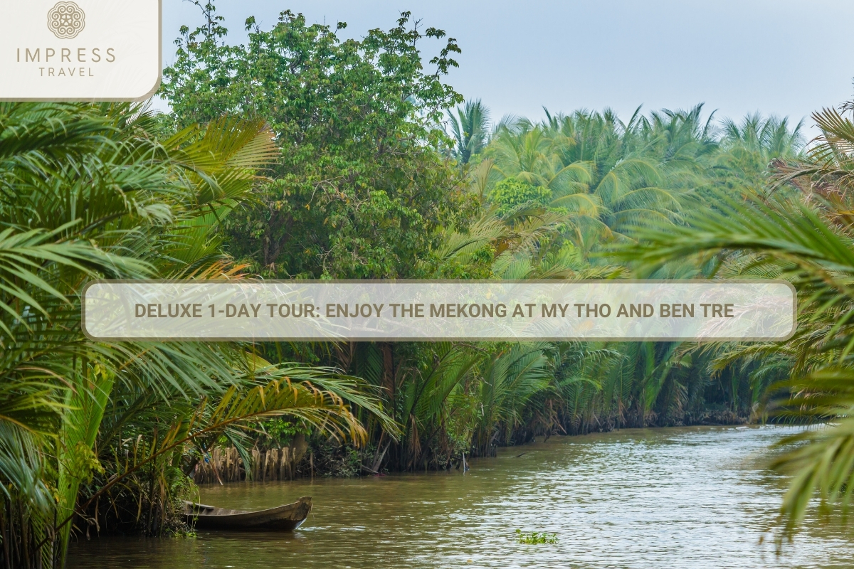 Deluxe 1(full)-Day Mekong Tours explore My Tho, Ben Tre