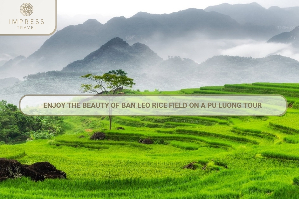Beautiful Pu Luong Tours admire Ban Leo Rice Fields