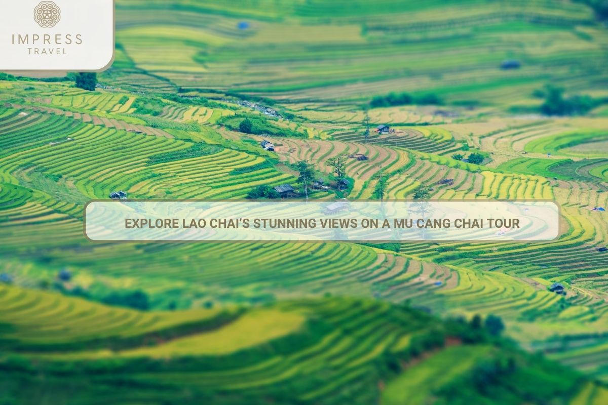 Explore Lao Chai’s Stunning Views on a Mu Cang Chai Tour