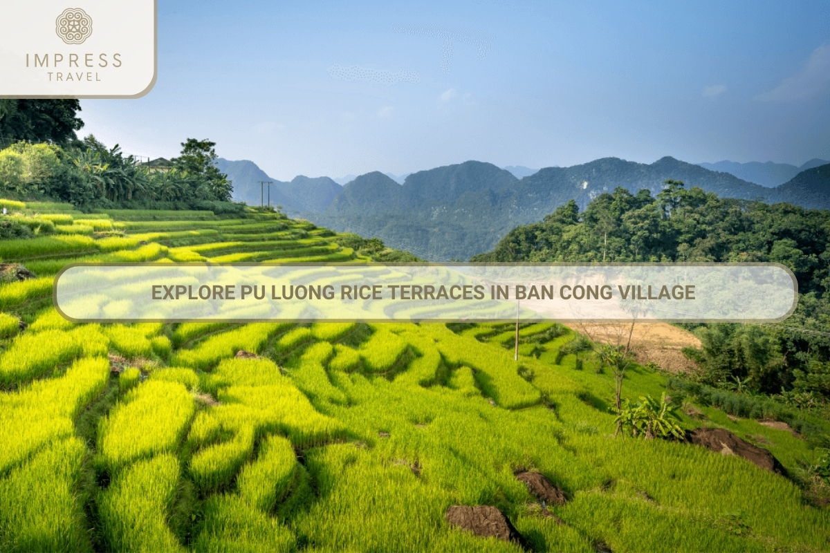 Pu Luong tours Explore Rice Terraces in Ban Cong Village
