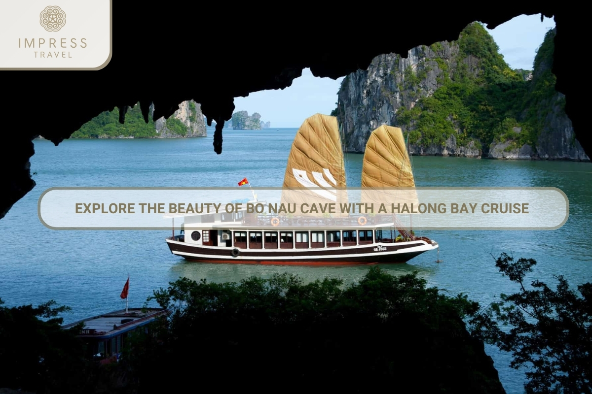 Beauty of Halong tours & cruises explore of Bo Nau Cave