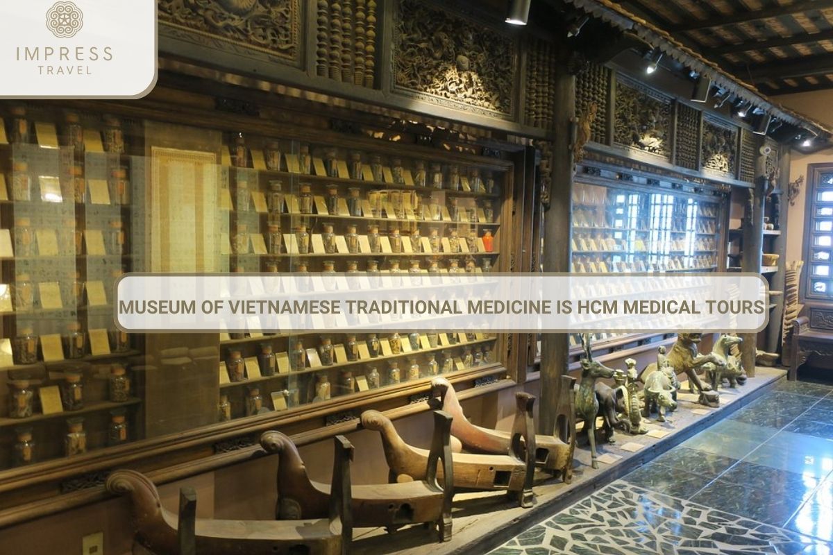 Museum of Vietnamese Traditional Medicine is HCM medical tours