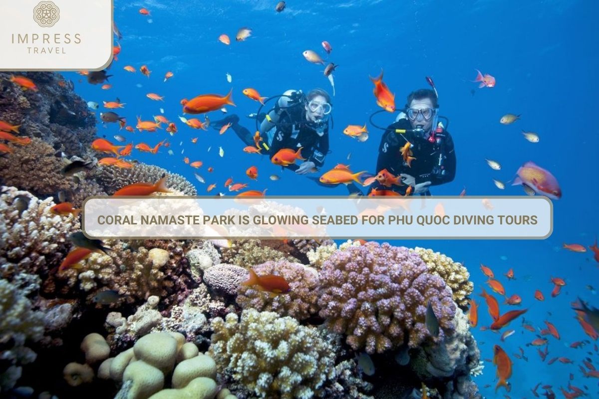 Coral Namaste Park Is Glowing Seabed For Phu Quoc Diving Tours