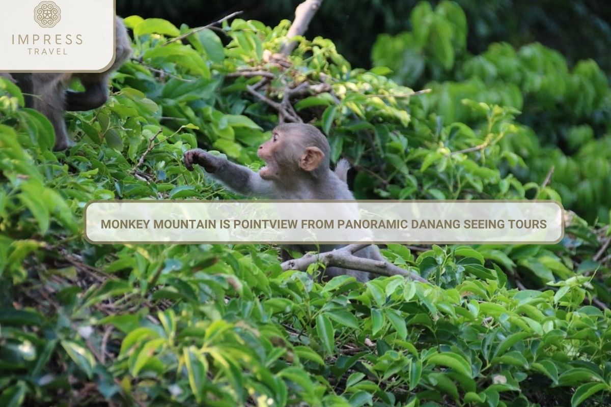 Monkey Mountain Is Pointview From Panoramic Danang Seeing Tours