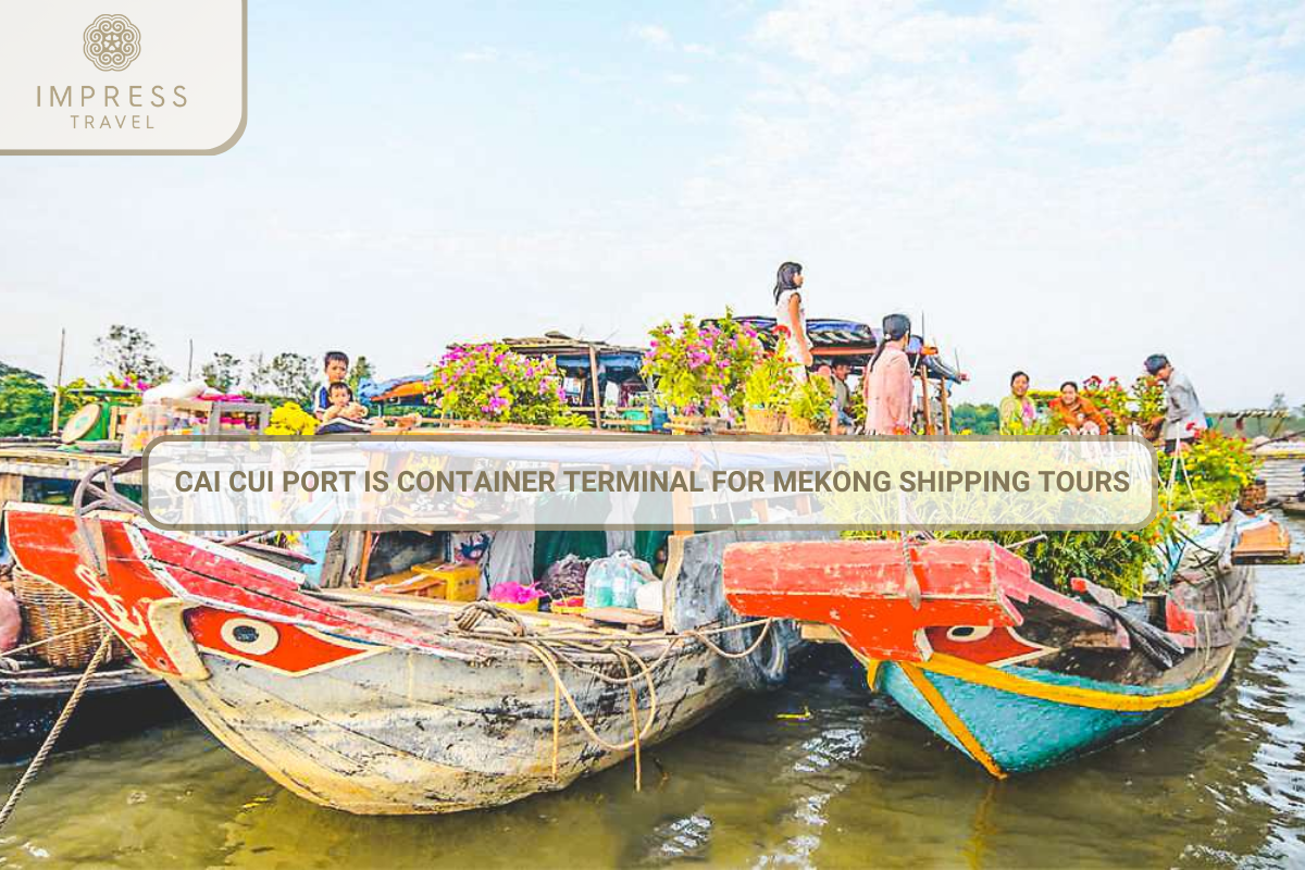 Cai Cui Port Is Container Terminal For Mekong Shipping Tours