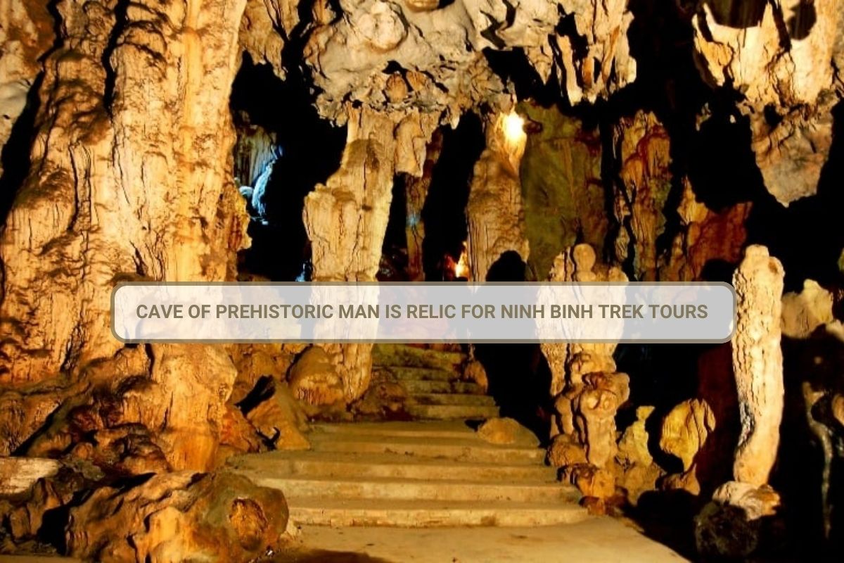 Ninh Binh Tours explore cave of Prehistoric relic Man