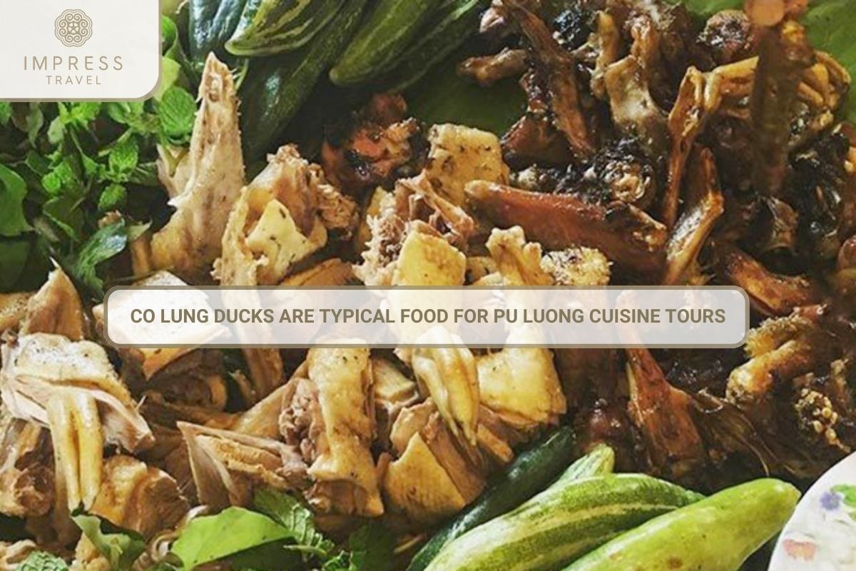 Co Lung Ducks Are Typical Food For Pu Luong Cuisine Tours