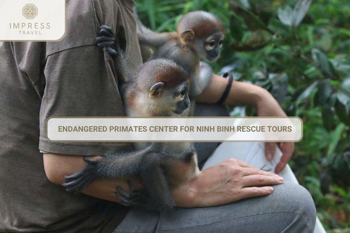 Ninh Binh Tours Rescue Endangered Primates Center
