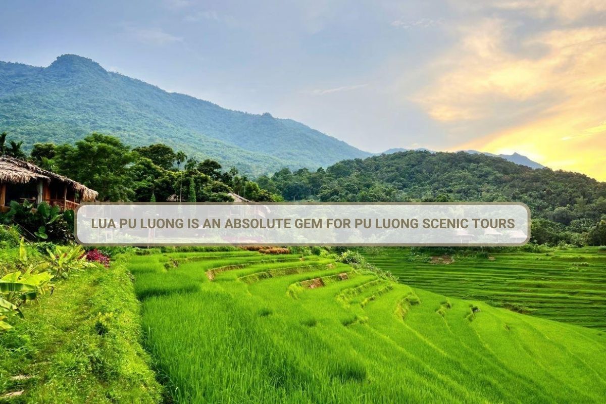 Lua Pu Luong is an Absolute Gem for Pu Luong Scenic Tours