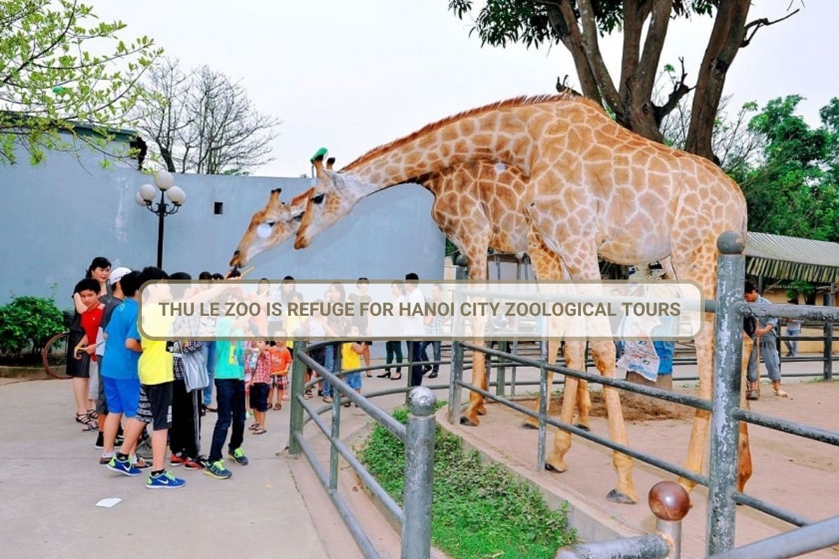 Zoological Hanoi Tours explore Refuge Thu Le Zoo