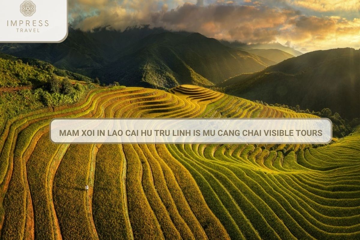 Mam Xoi In Lao Cai Hu Tru Linh Is Mu Cang Chai Visible Tours