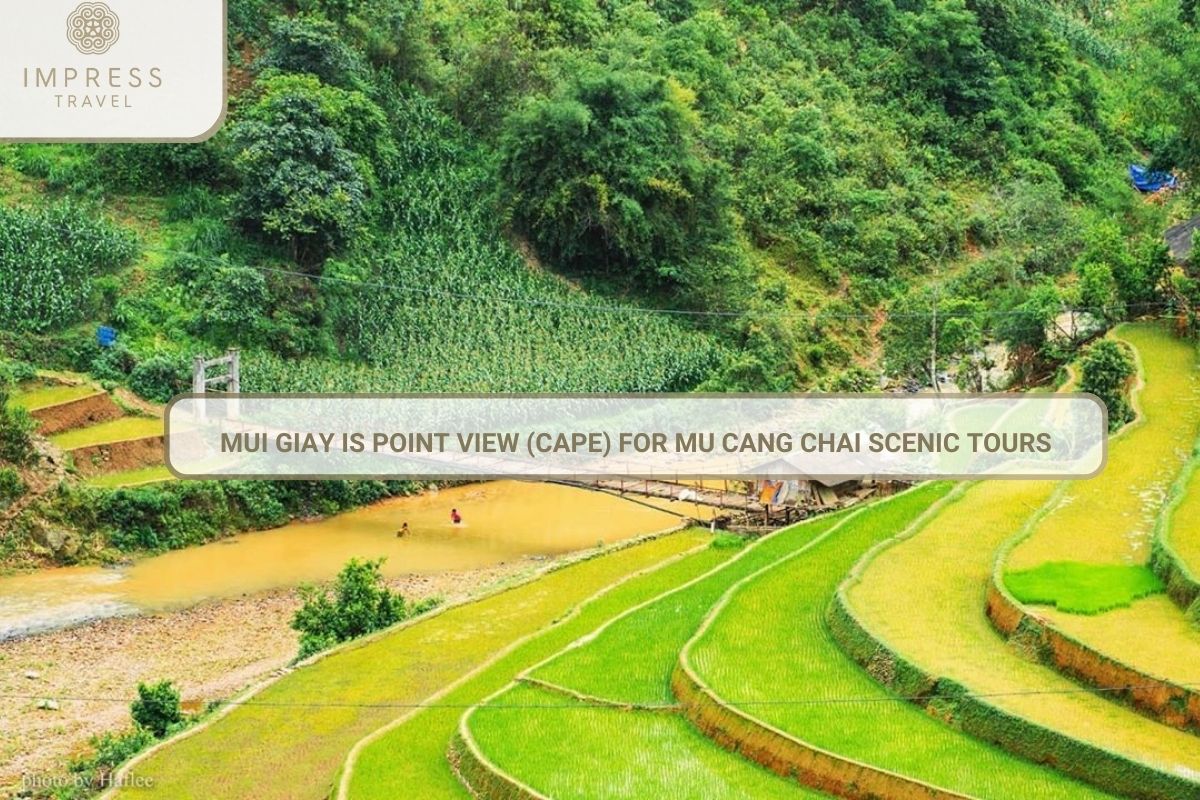Mui Giay Is Point View (Cape) For Mu Cang Chai Scenic Tours