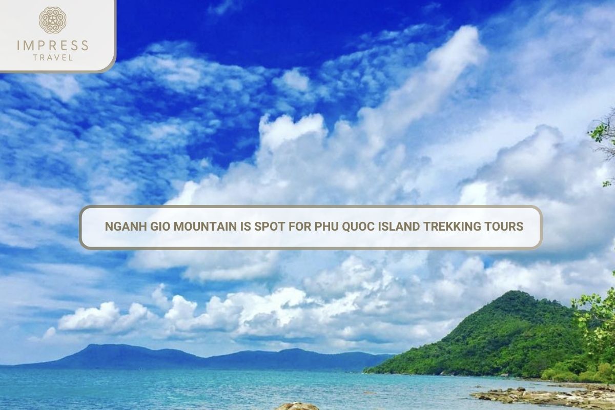 Trekking Phu Quoc Island Tours explore Nganh Gio Mountain (spot)