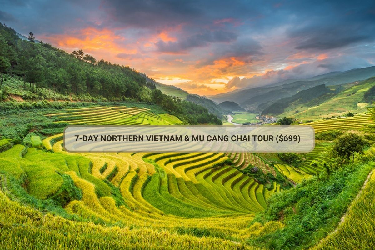 Northern Vietnam - Mu Cang Chai Tours: 6, 7 days ($699)
