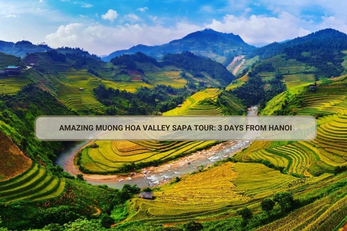 Amazing Muong Hoa Valley Sapa Tours: 2,3 Days From Hanoi