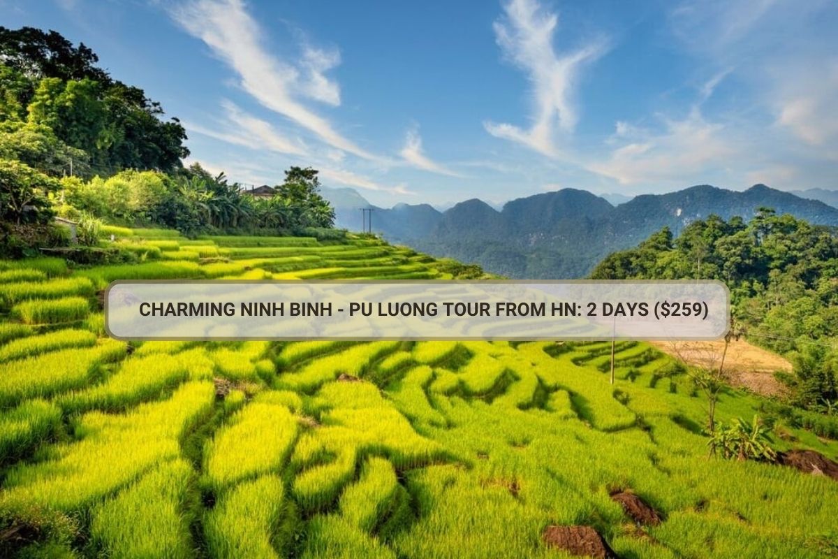 Charming Ninh Binh - Pu Luong Tours: 2,3 Days ($259)