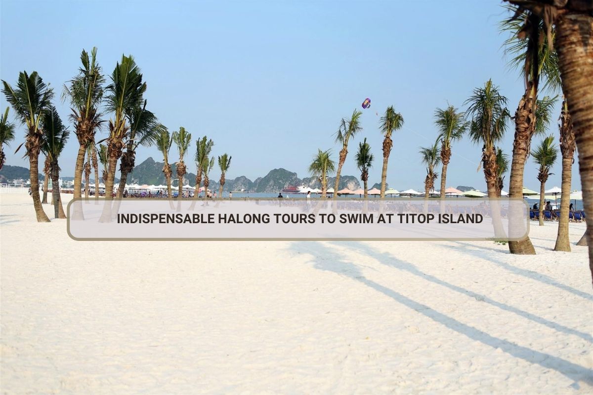 Indispensable Halong Tours To Swim At Titop Island
