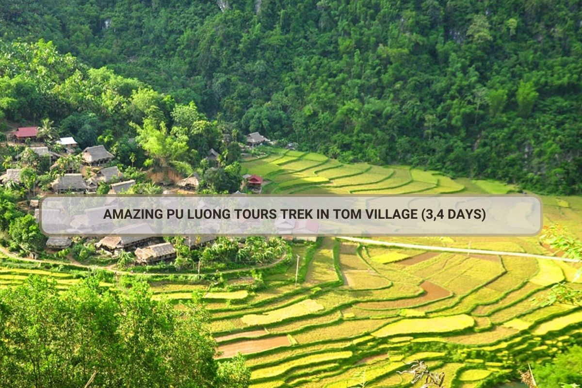 Amazing Pu Luong Tours Trek In Tom Village (3,4 Days)