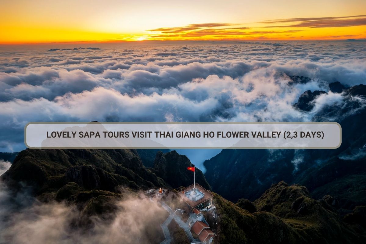 Lovely Sapa Tours Visit Thai Giang Ho Flower Valley (2,3 Days)