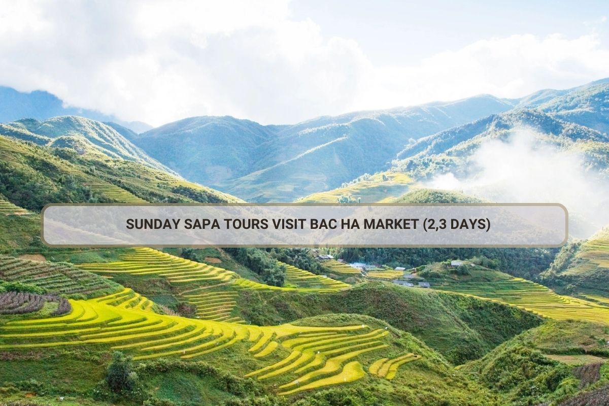 Sunday Sapa Tours Visit Bac Ha Market (2,3 Days)