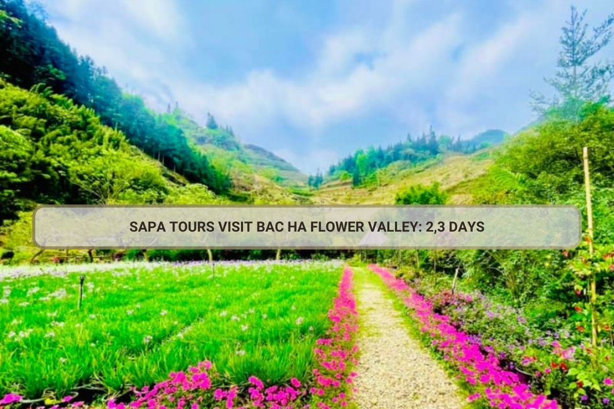 Sapa Tours Visit Bac Ha Flower Valley: 2,3 Days