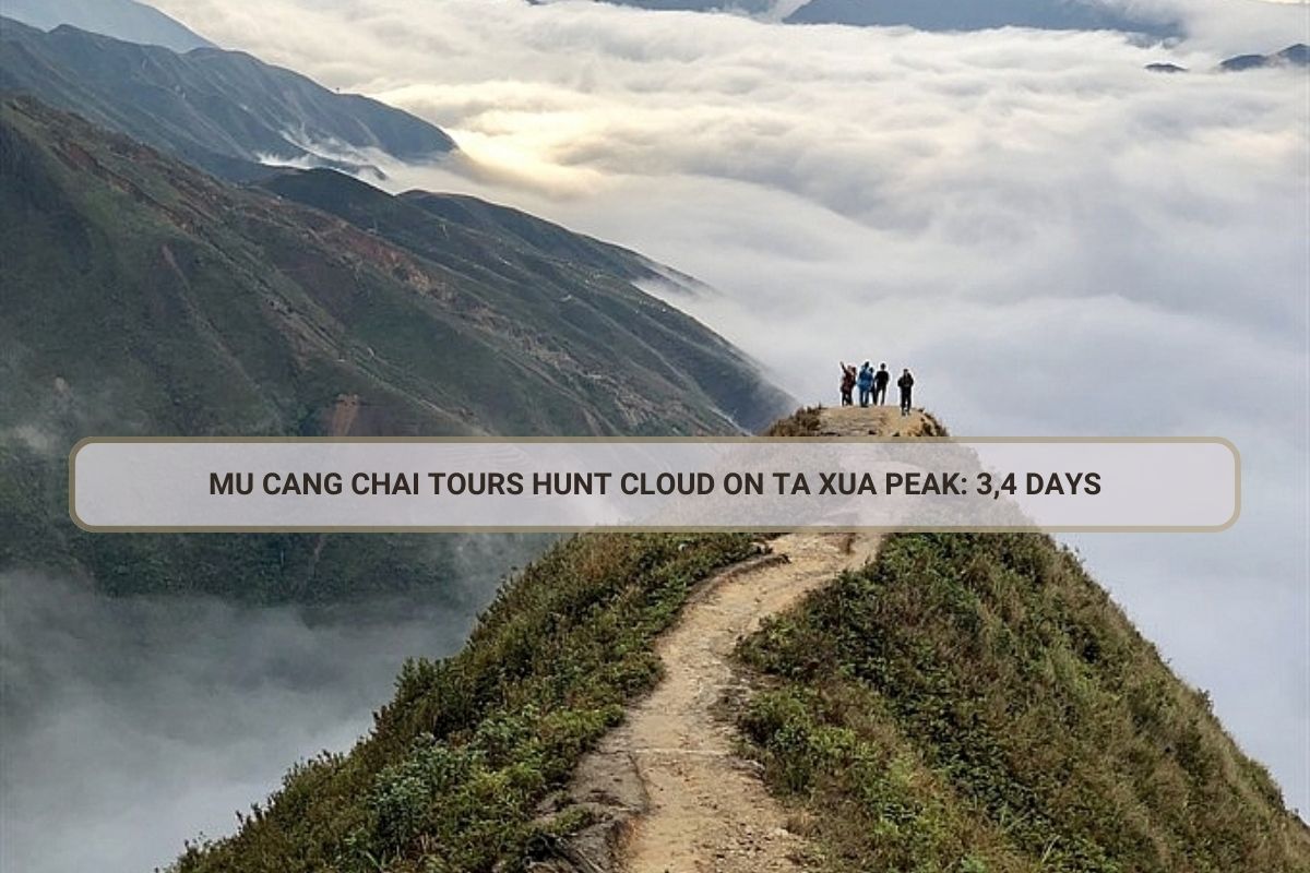 Mu Cang Chai Tours Hunt Cloud On Ta Xua Peak: 3,4 Days